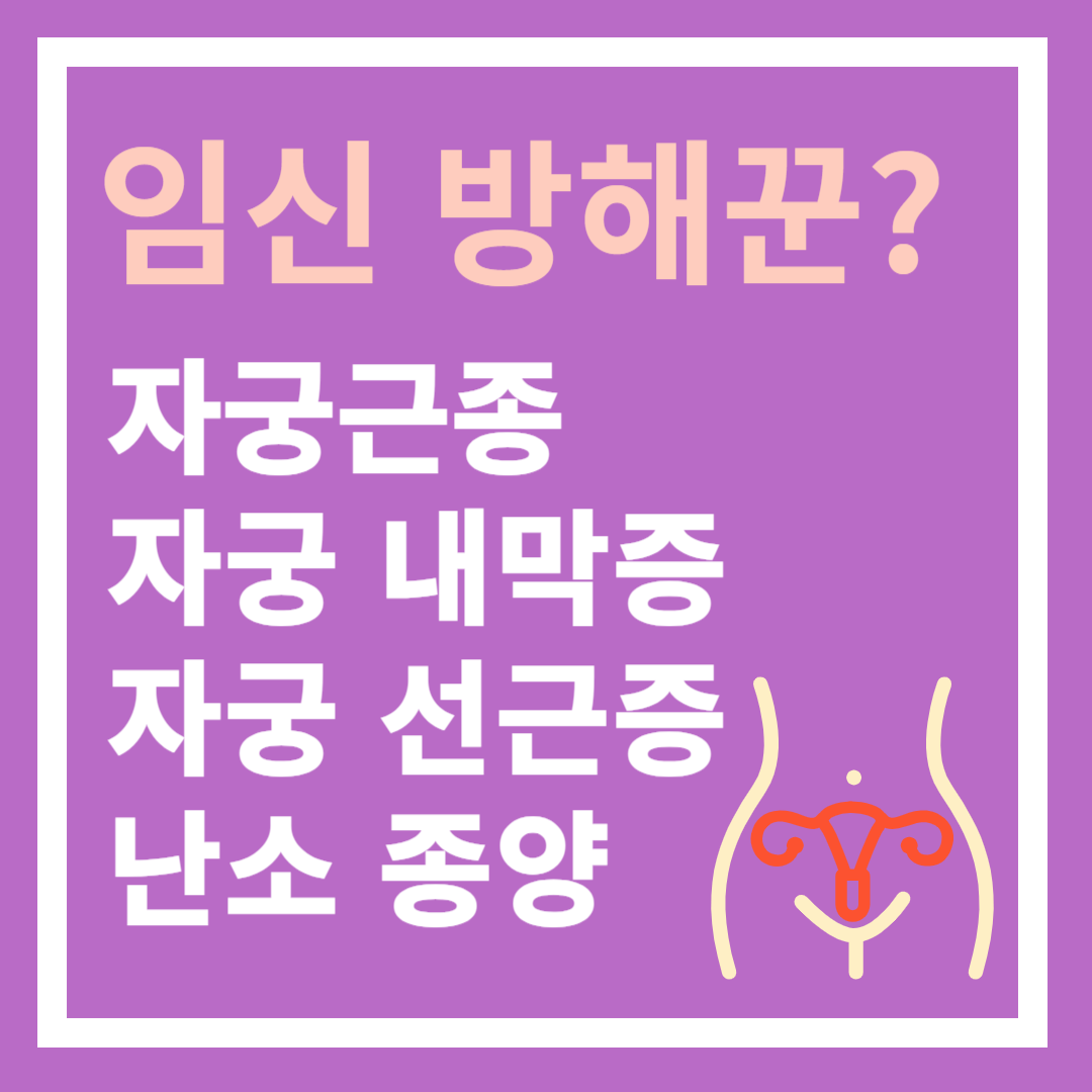 임신준비를 위한 방해꾼 자궁 근종 자궁 내막증 자궁 선근증 난소 종양
