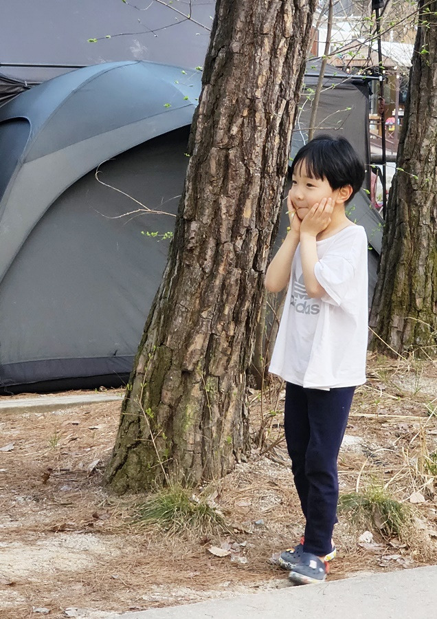 캠핑 닷돈재 4색 야영장 벚꽃 식도락 캠핑4월 첫주