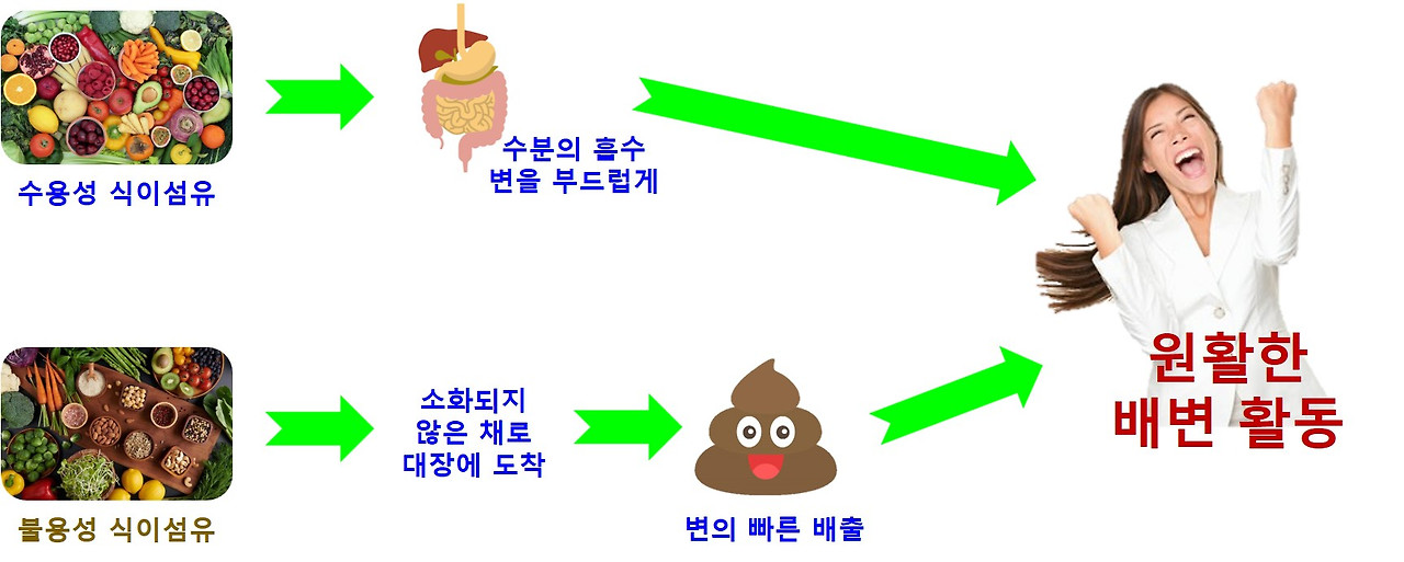 식이섬유의 역할과 중요성 당화혈색소 감소와 더 나은 장내 환경