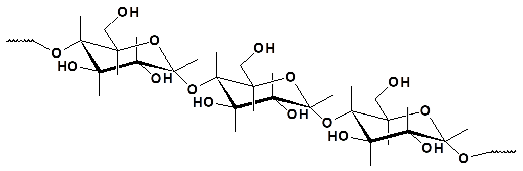 아밀로스amylose And 아밀로펙틴amylopectin의 구조와 특징