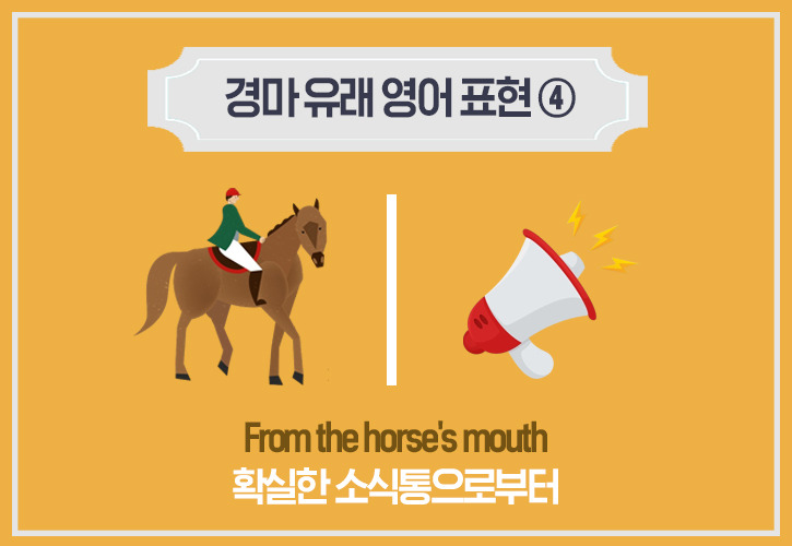 한국토익위원회 토익스토리 다크호스의 숨겨진 뜻 경마 관련 유래 영어 표현