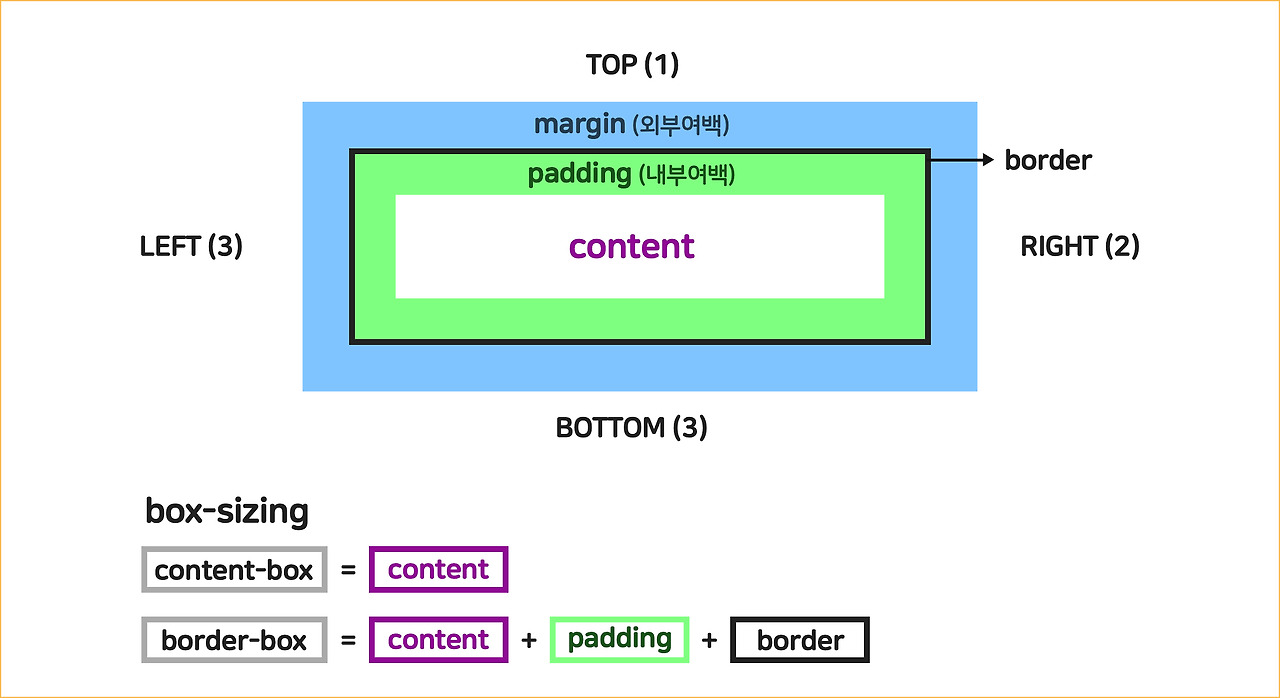CSS Box Model - 귤양의 개발자국