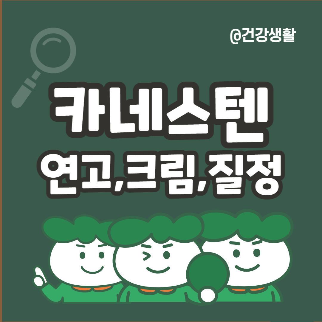 칸디다질염엔 카네스텐 연고크림질정 총정리