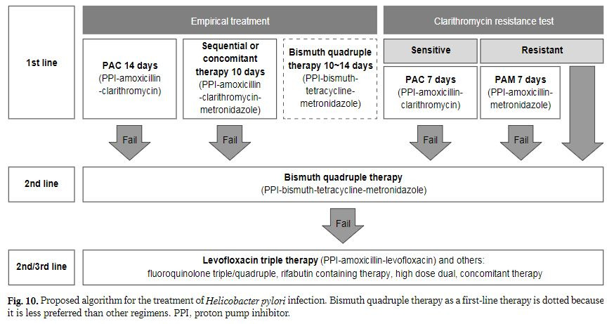 헬리코박터 파이로리 제균 요법 Helicobacter Pylori Infection 신부전 Or 투석 환자