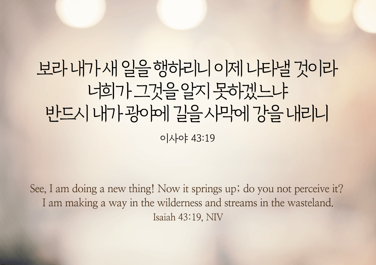 마음에 꼭 이사야 43장 19절 칼럼 새로운 길 새로운 시작