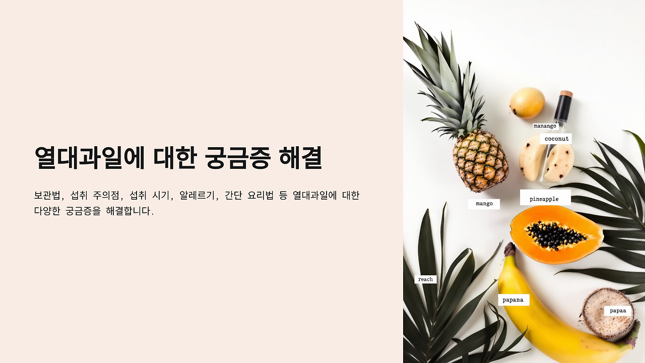 열대과일 종류 완벽 정리 맛과 효능으로 알아보는 인기 과일 🌴🍍🥭