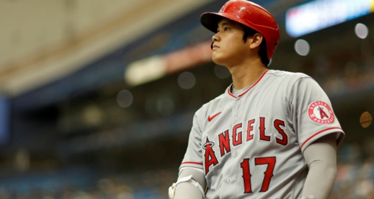 오타니 결혼 부인 연봉 부모 키 계약 연봉