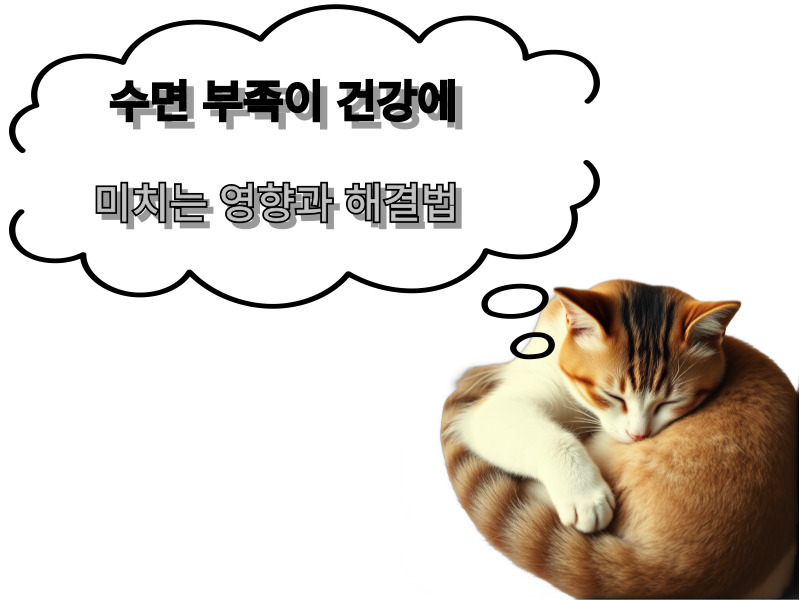 수면 부족이 건강에 미치는 영향과 해결법