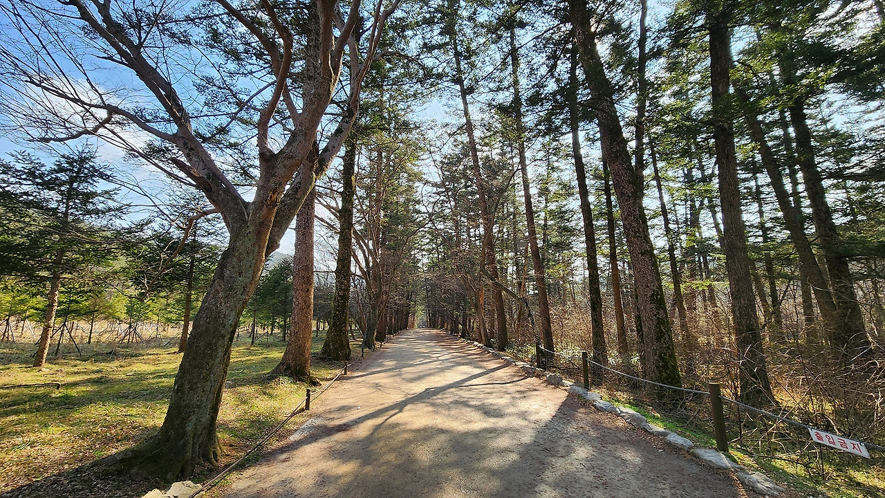 전북 부안 내소사 시외버스 정류소 시간표 내소사 전나무숲길 풍경