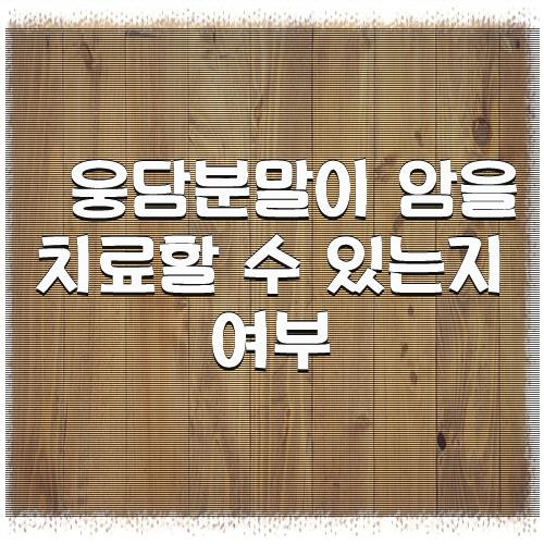 웅담분말이 암을 치료할 수 있는지 여부