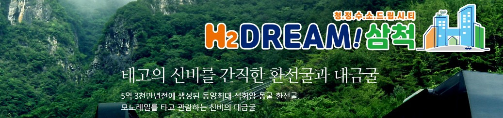 삼척시청 홈페이지 바로가기 | 전화번호 총 정리(www.samcheok.go.kr) - KoreaSite