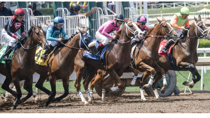 한국마사회 경마정보 홈페이지 (https://race.kra.co.kr) 바로가기
