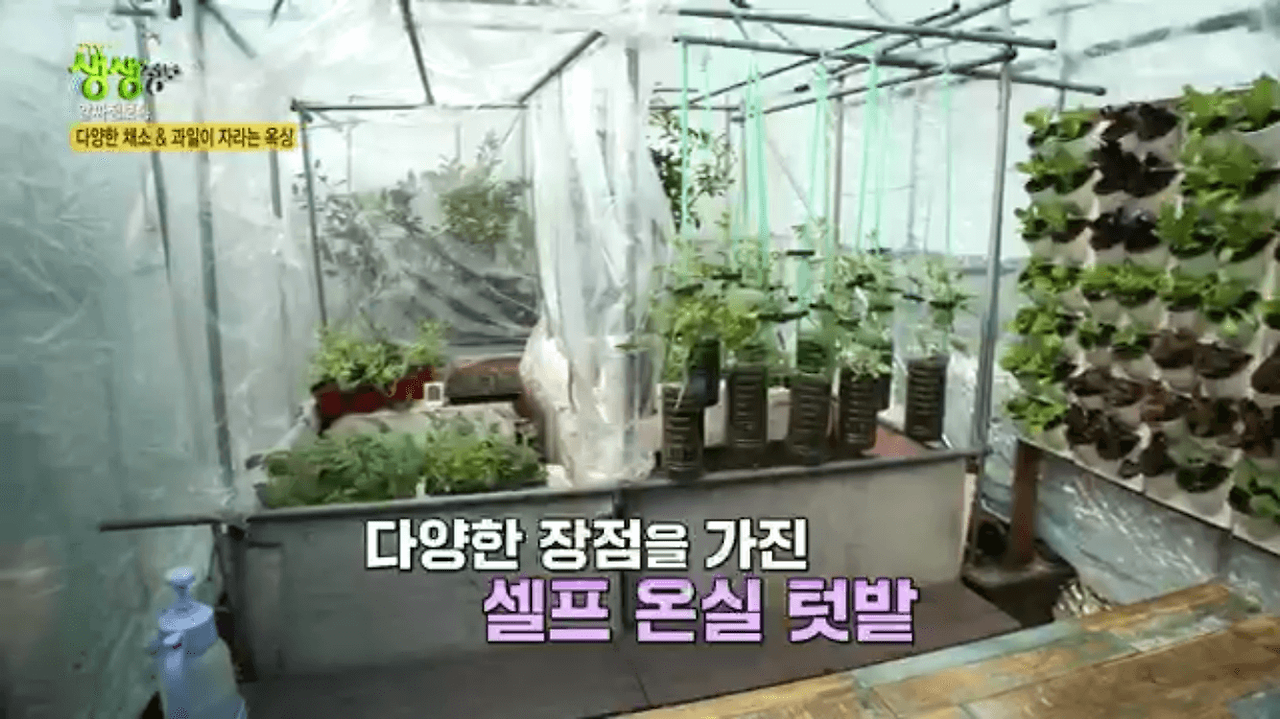 옥상 텃밭 작물 온실 비닐하우스 가격