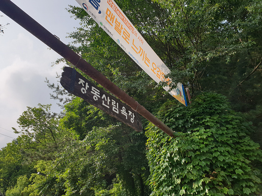대전 계족산 황톳길 코스 장동산림욕장 황토길 맨발걷기 트레킹 소요시간