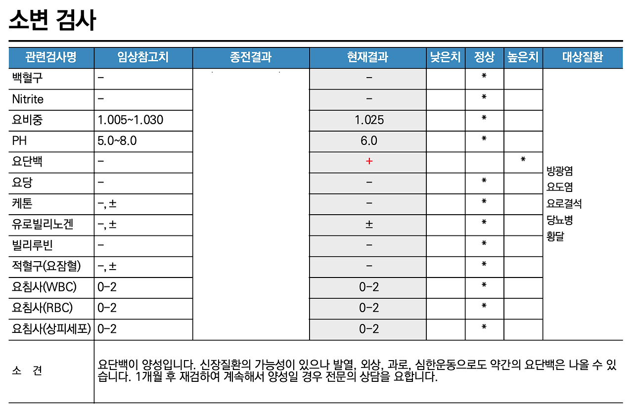 소변검사 요단백 양성 반응 신장질환 위험 신호