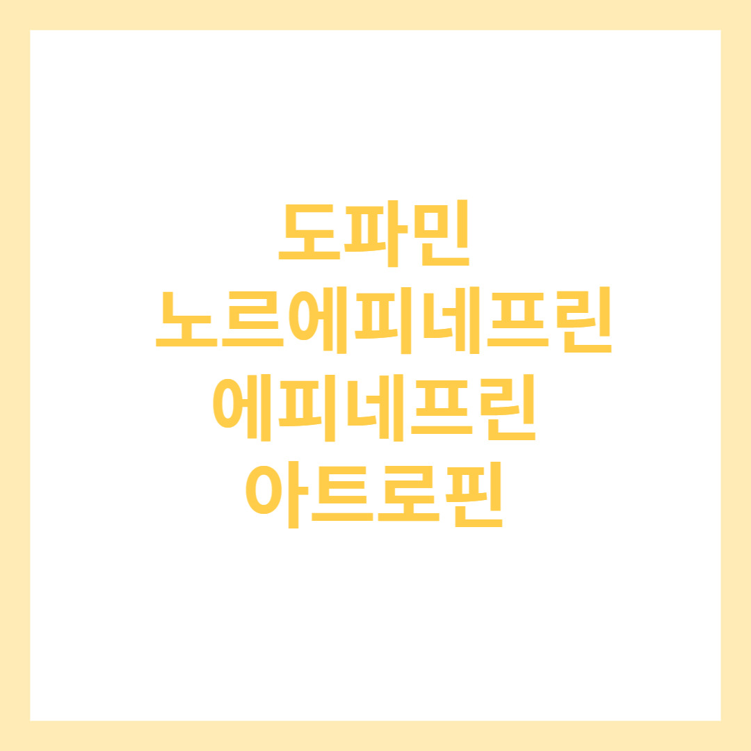 도파민 노르에피네프린 에피네프린 아트로핀 알아보기