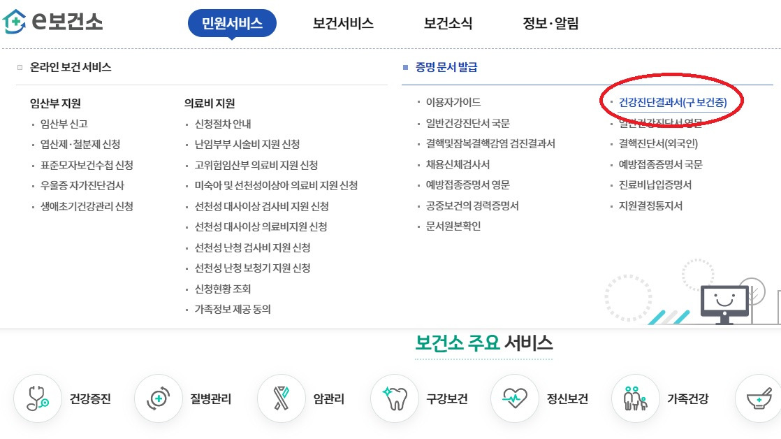 보건증건강진단결과서 발급 방법 병원 유효기간 슬기로운 생활 백서
