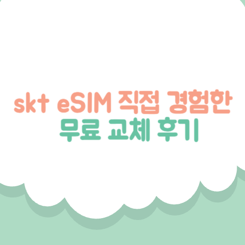 skt eSIM 직접 경험한 무료 교체 후기와 방법 정리