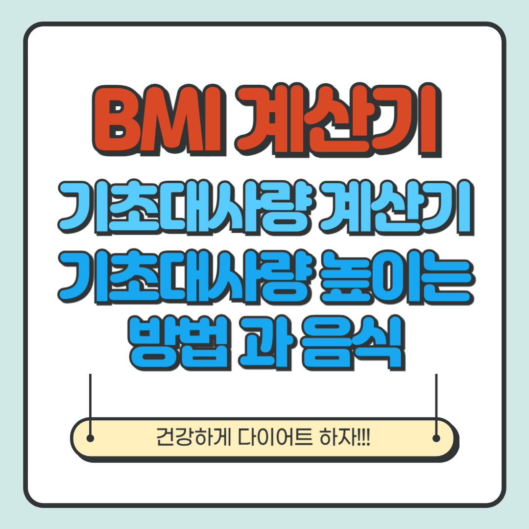 Bmi계산기 기초대사량 계산기 기초대사량 높이는 방법 과 음식