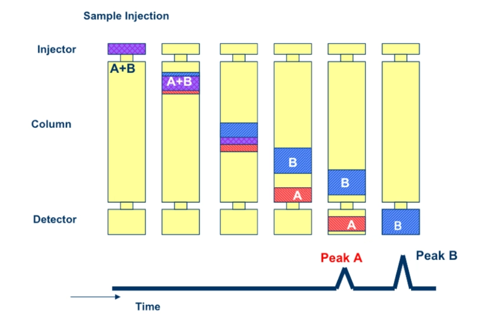 가스크로마토그래피gas Chromatographygc 분석 분리 원리
