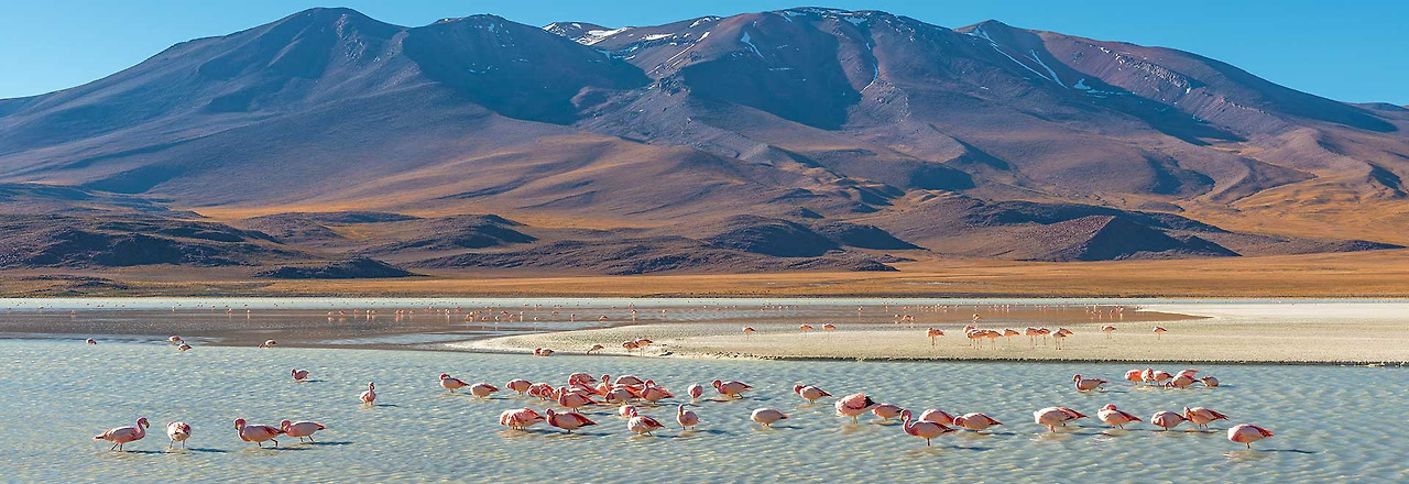 Laguna Hedionda: Bolivia's "Stinking Lake"