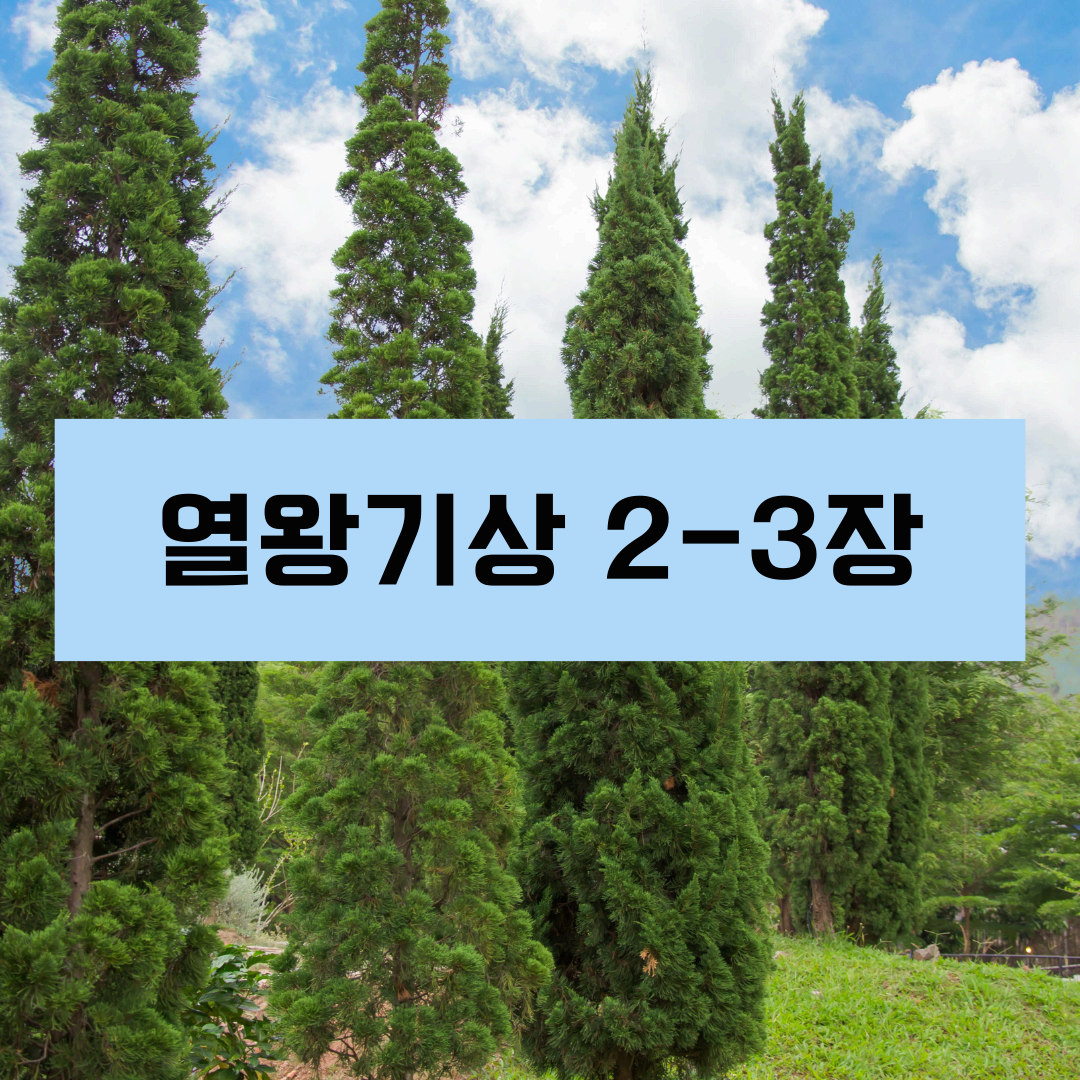 매일성경 열왕기상 2 3장 솔로몬의 왕위 확립과 지혜의 시작