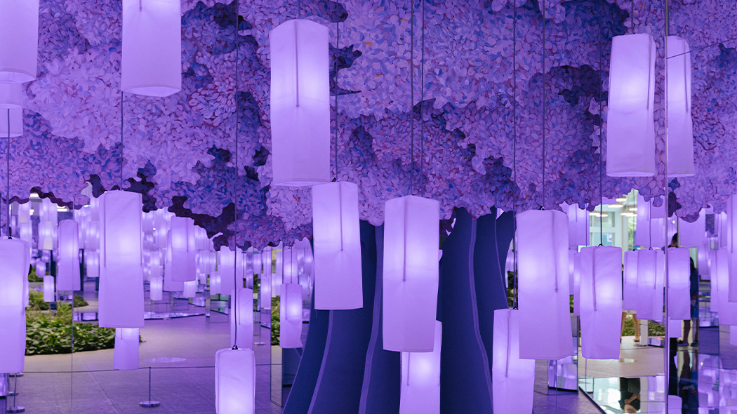 감각을 깨우는 한여름 밤의 꿈, LIGHT HAUS