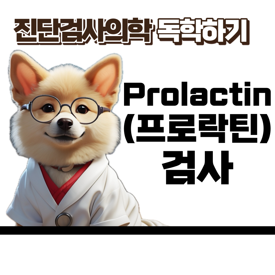 Prolactin프로락틴검사 프로락틴검사방법프로락틴검사결과프로락틴정상수치고프로락틴혈증불임난임무월경