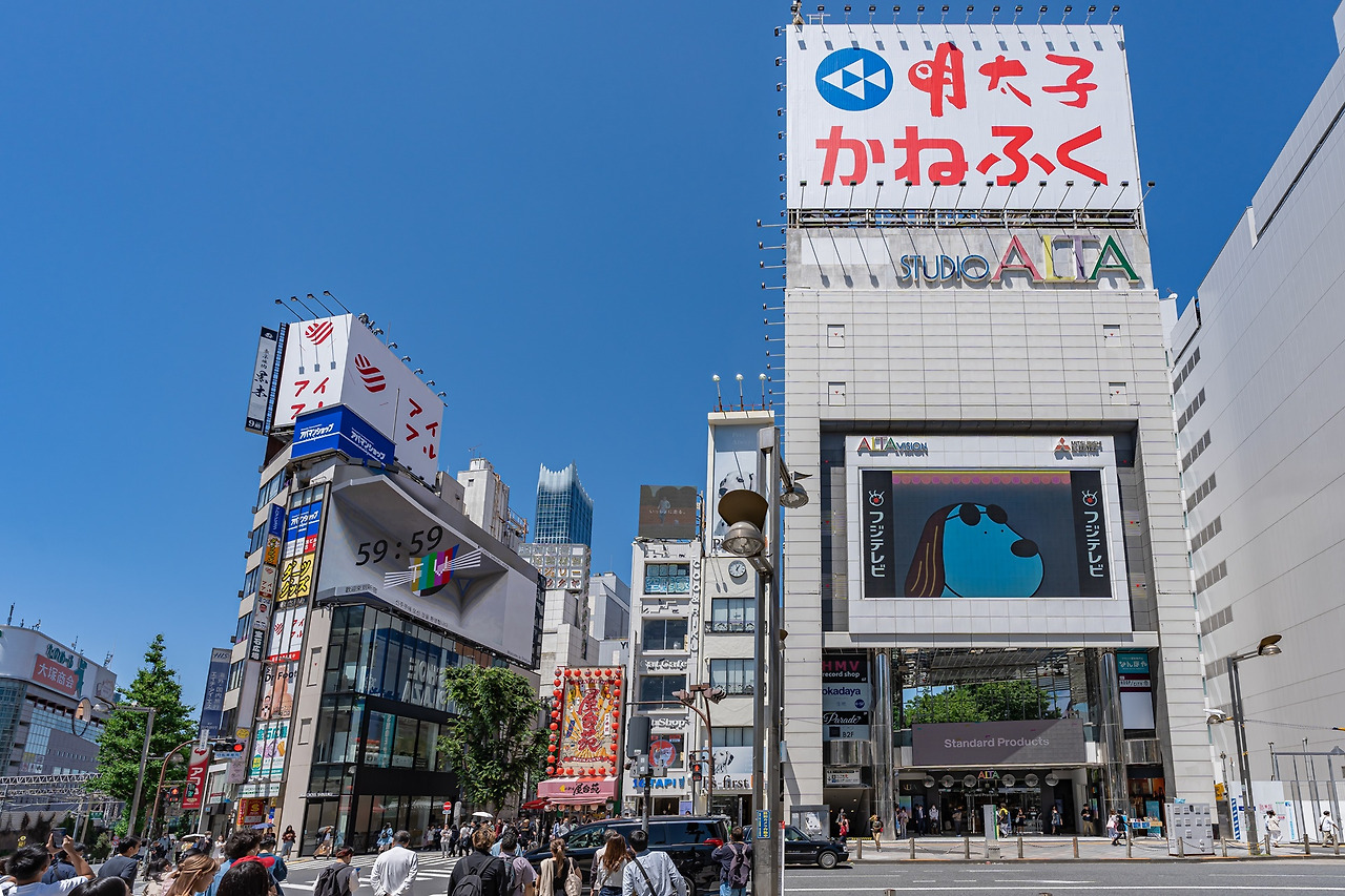 도쿄를 지키는 신주쿠 3d 삼색 고양이 크로스 스페이스 신주쿠 비젼cross Space Shinjuku Vision