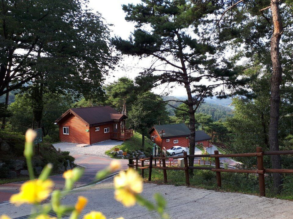봉수산 자연휴양림 온라인 예약하기 숙소 야영장 캠핑장 실시간 예약 현황 보기 충남 예산군