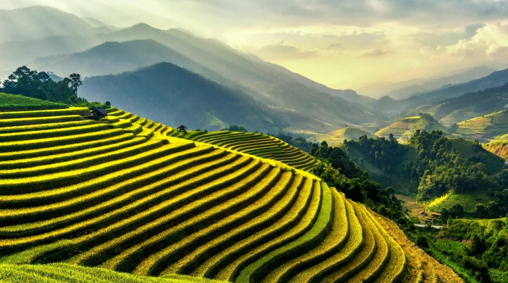 발리 우붓 뜨갈라랑 계단식 논 라이스 테라스 Tegallalang Rice Terrace 소개 위치 볼거리 주의사항