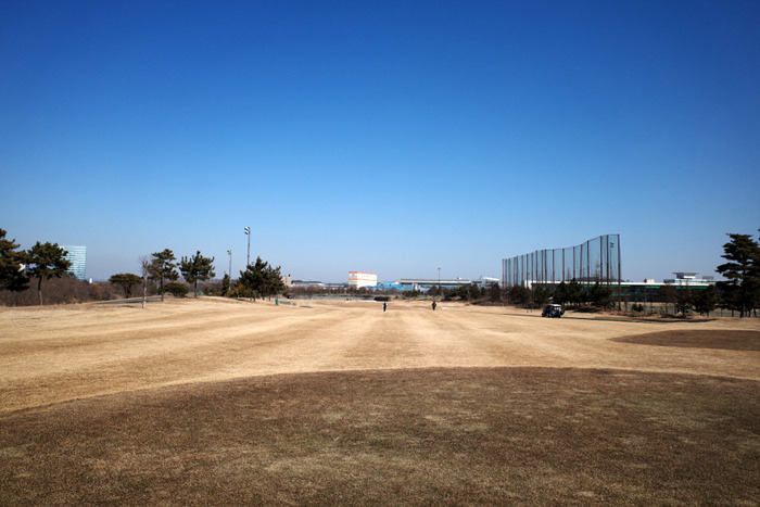 벤투스 TR 블루 5S, TR 블랙 5S 드라이버 샤프트 비교 후기