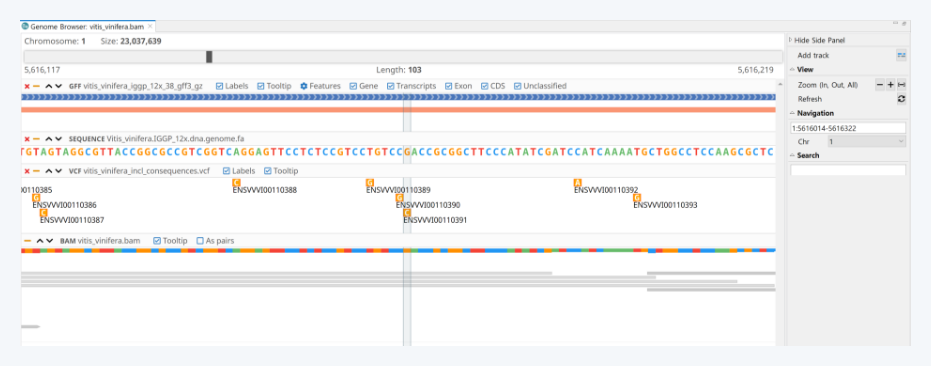 나만 알고 싶은 OmicsBox