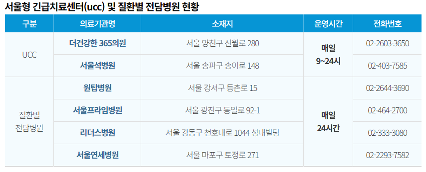서울시 야간·휴일 긴급 의료 시스템 강화 시민을 위한 24시간 응급 진료 체계