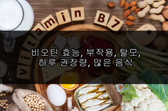 비오틴 효능 부작용 탈모 하루 권장량 많은 음식 세상의 모든 정보