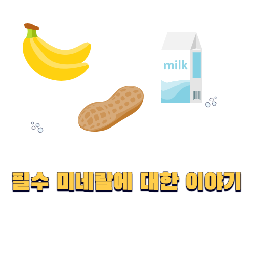 필수 미네랄에 대한 이야기 칼륨 칼슘 셀레늄 나트륨 요오드 아연 마그네슘 인 황 염소 구리 망간 철 코발트