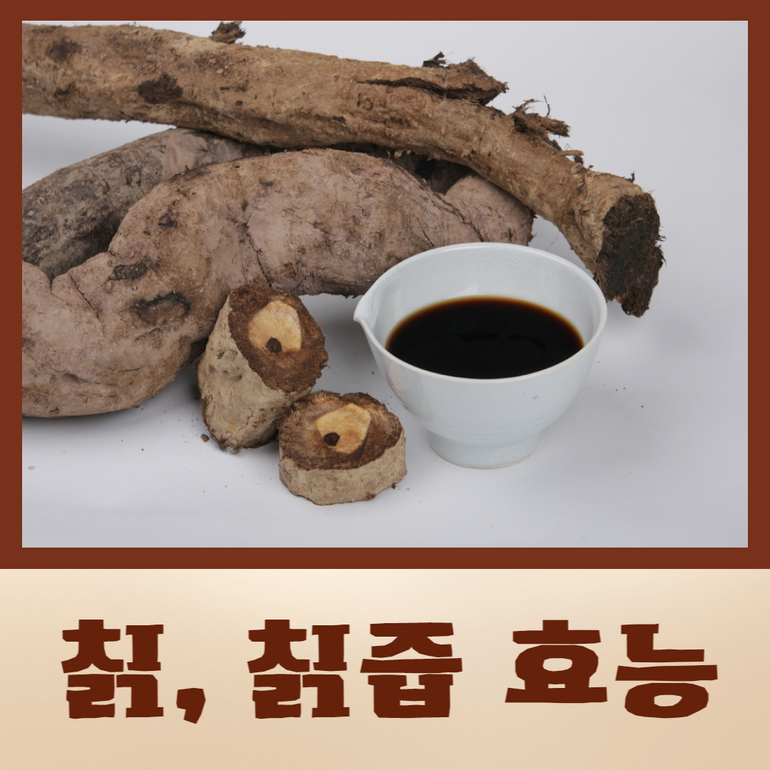해독 갱년기에 탁월한 칡의 효능 복용법 부작용