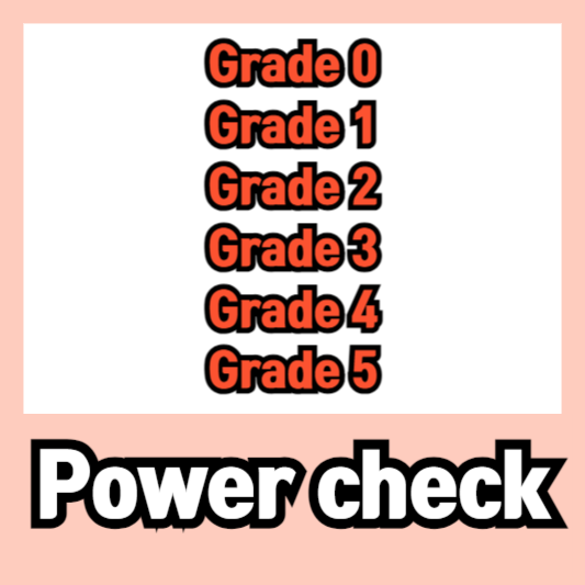 power check motor grade 알아보기