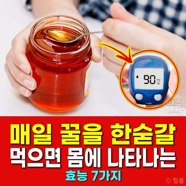 매일 꿀을 한숟갈 먹으면 나타나는 효능 7가지 꿀 하루 섭취량