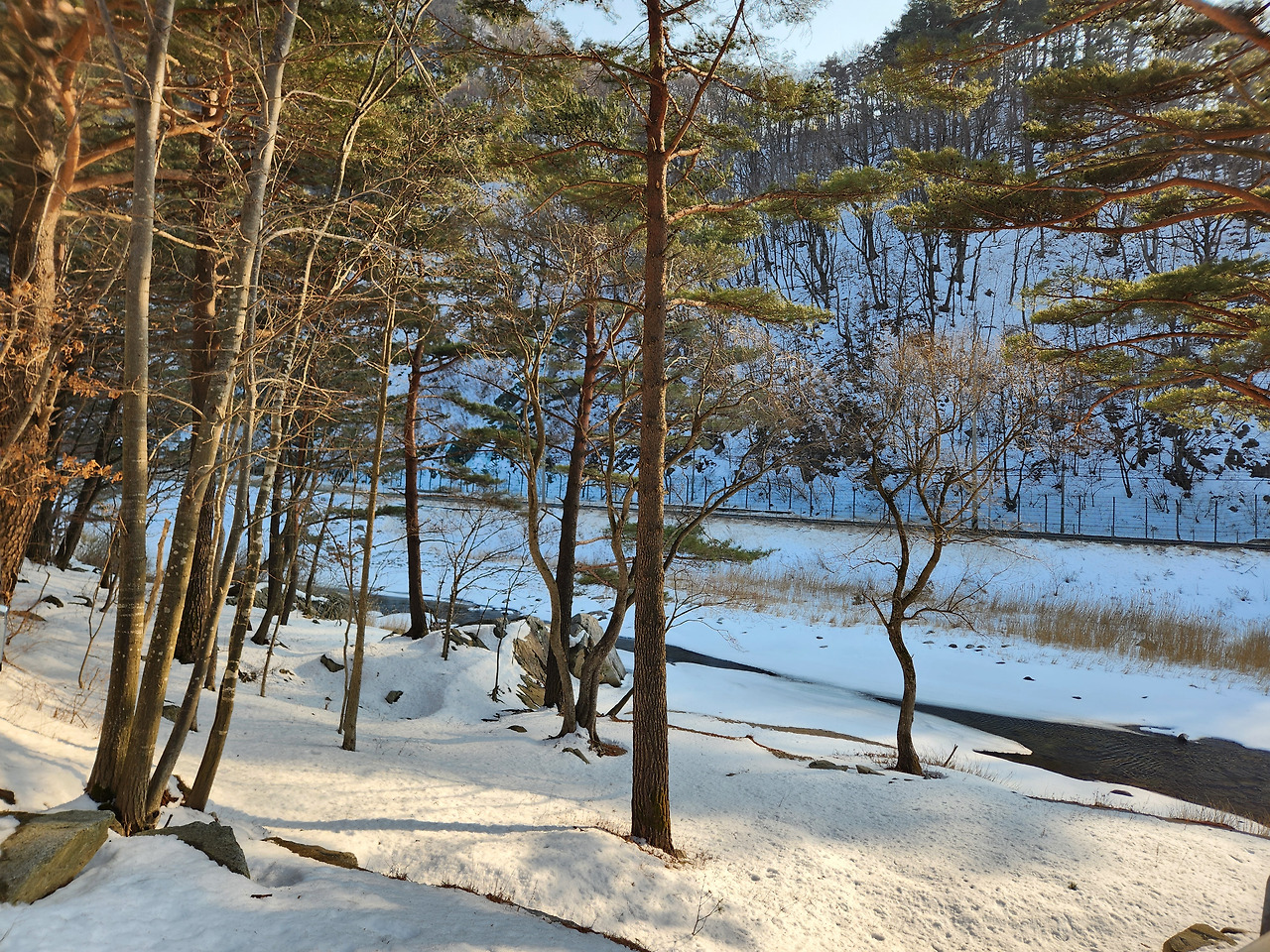 강원도 캠핑장 추천 차박and계곡 인제 진동리국민여가캠핑장