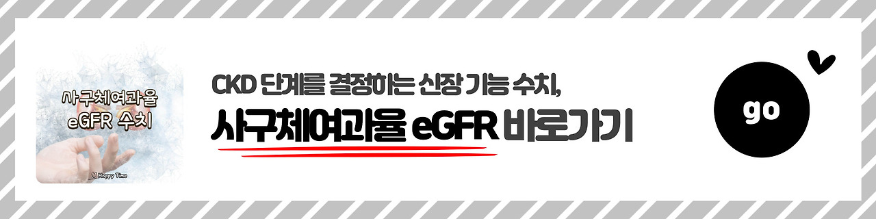 만성 신장 질환 Ckd 원인과 증상 치료방법에 대해 알아보자