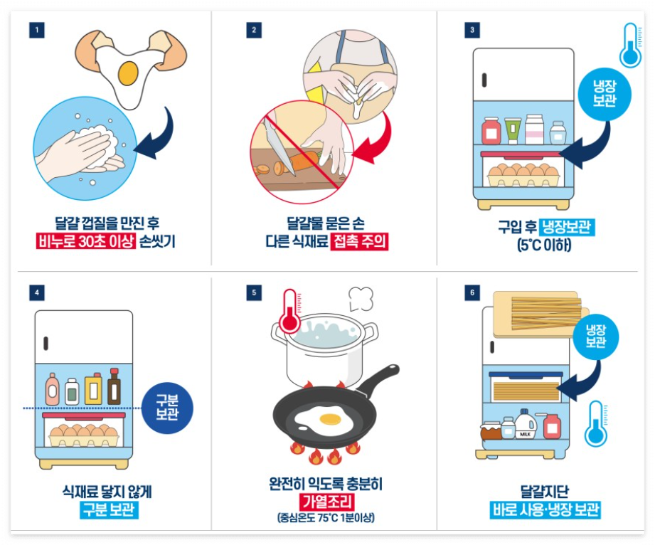 살모넬라균 식중독 예방하는 계란 보관법