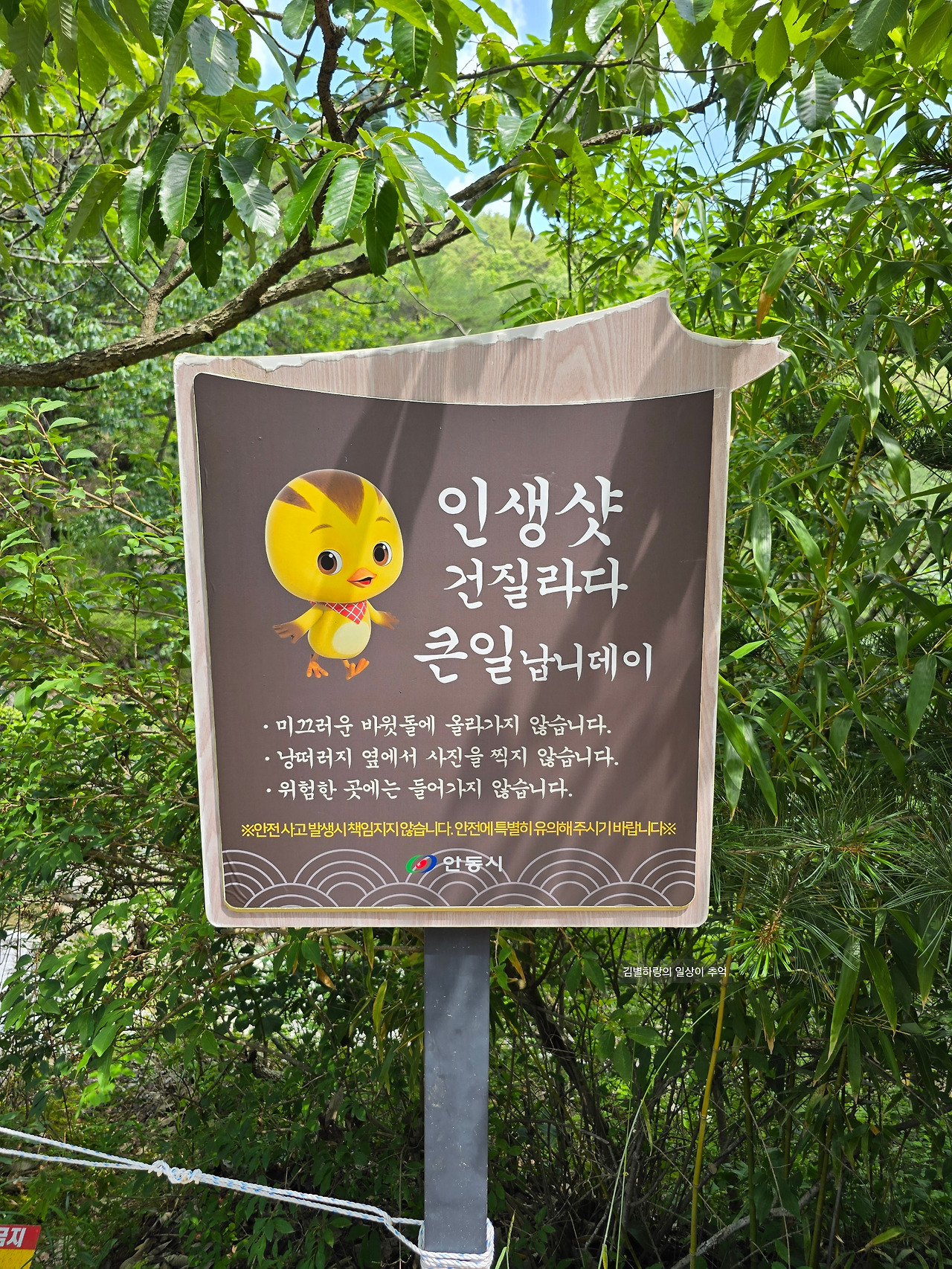 안동여행 만휴정 안동 가볼만한 명승지 주차 입장료 미스터션샤인 합시다 러브 안동 촬영지