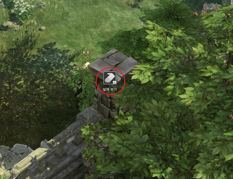 [로스트아크] 빌브린숲 모코코 씨앗 위치