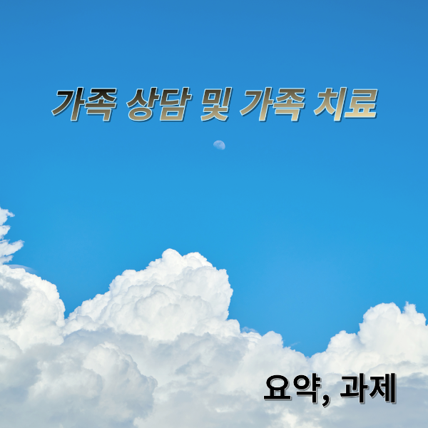 가족 상담 및 가족 치료 구조적 가족 치료 1 주요 개념 적응
