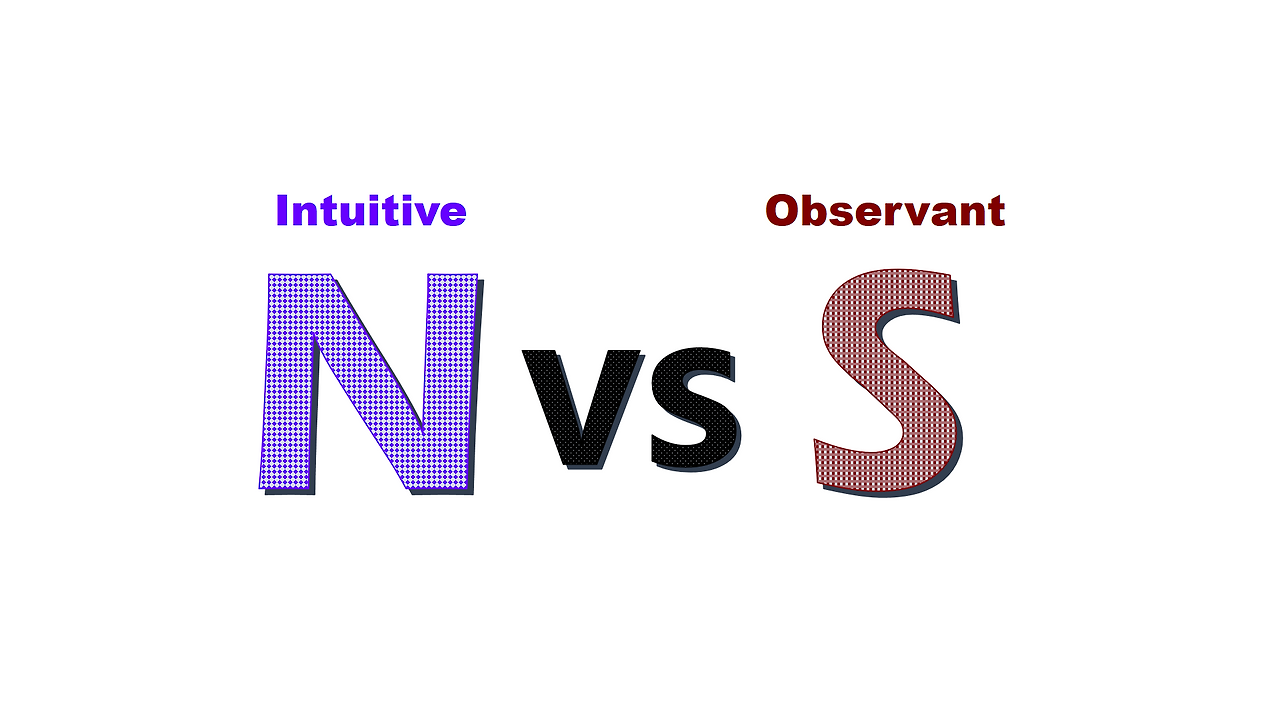 MBTI NS 차이 특징