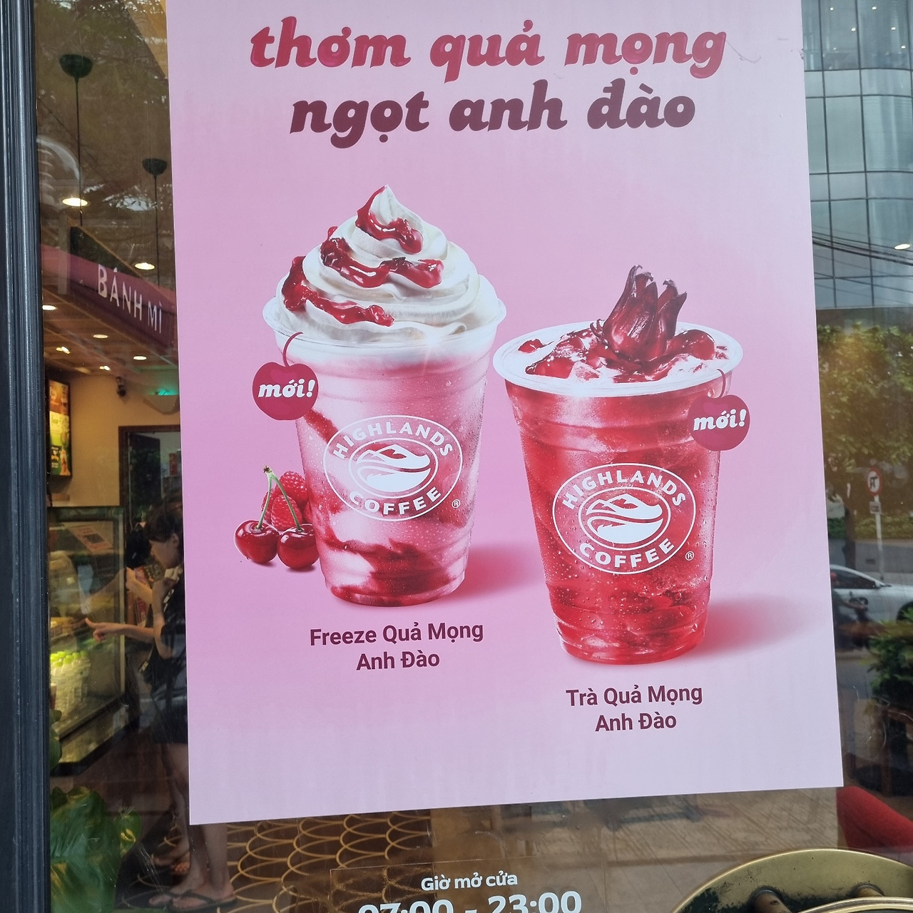 나트랑 하이랜드 카페 베트남의 스타벅스 붐씨 블로그 In 제주