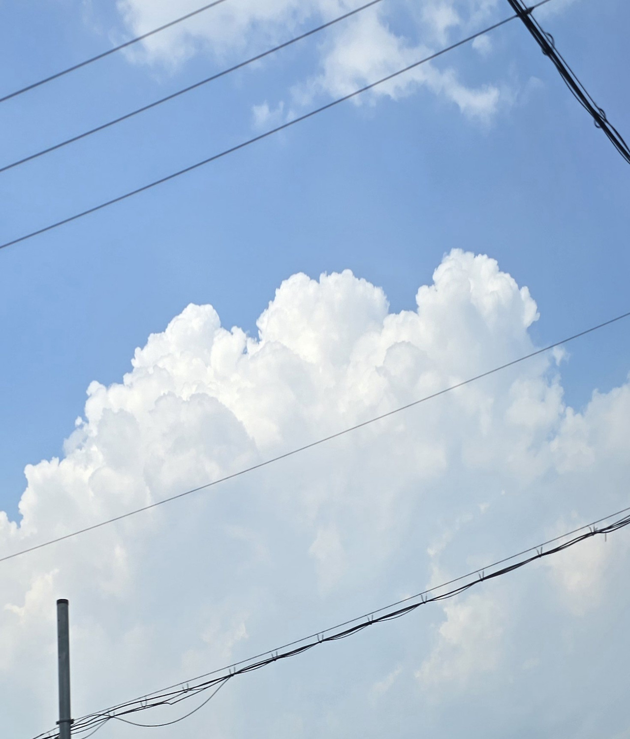 (육아일기)육아선배님과 하룻밤💜