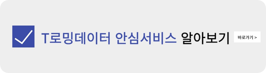 Sk해외로밍 문자sms로밍 데이터로밍 해외로밍요금 And유의사항