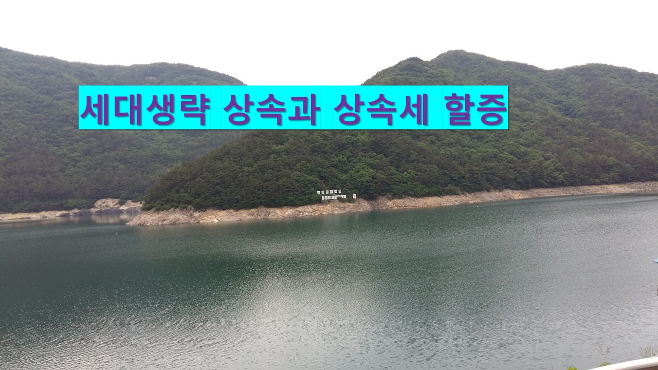29 세대 생략 상속과 상속세 할증